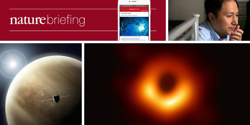 Summer briefing: The best of the Briefing