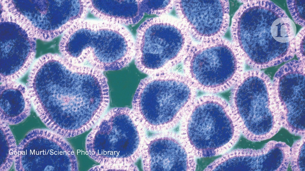 Towards a universal flu vaccine