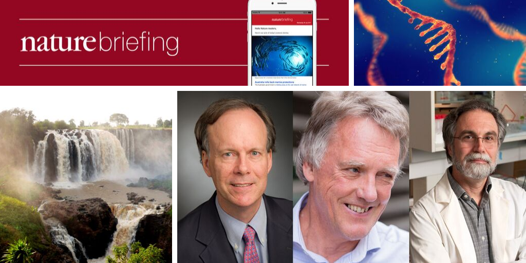 Daily briefing: At 15, graphene is ready for prime time