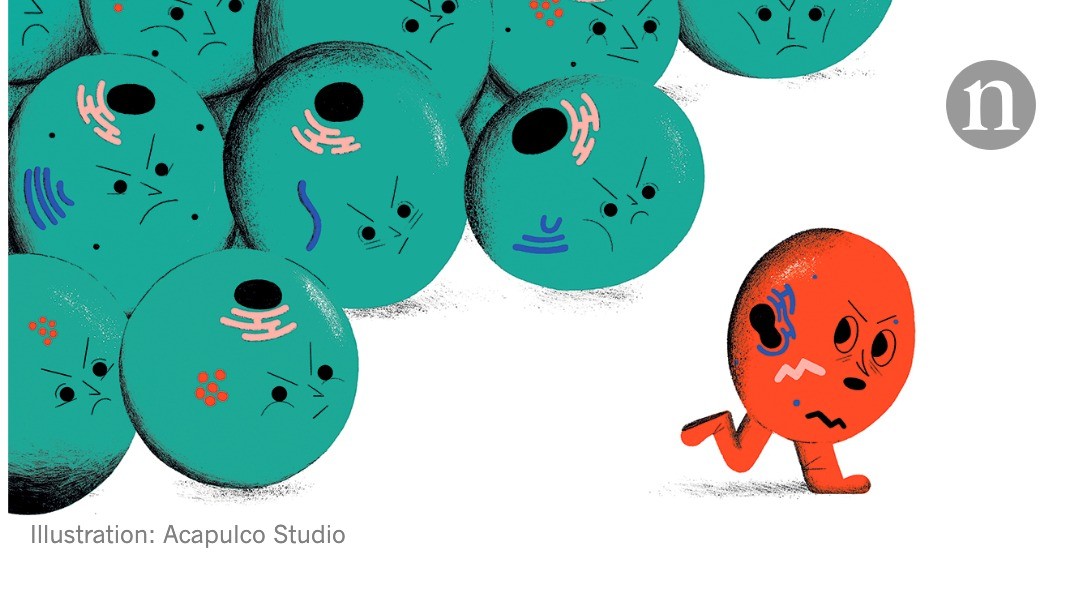These secret battles between your body’s cells might just save your ...