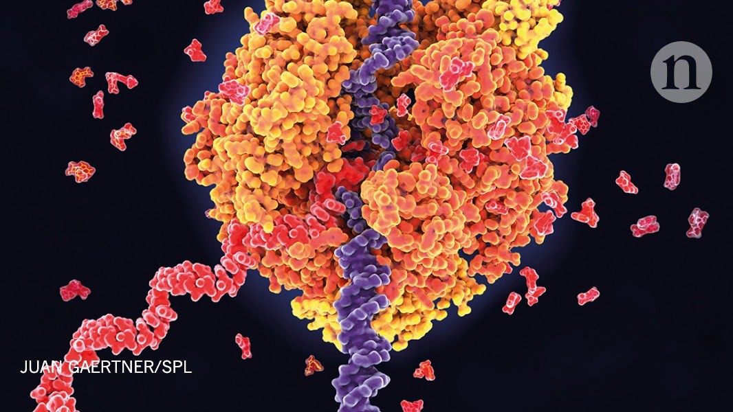 RNA therapies explained