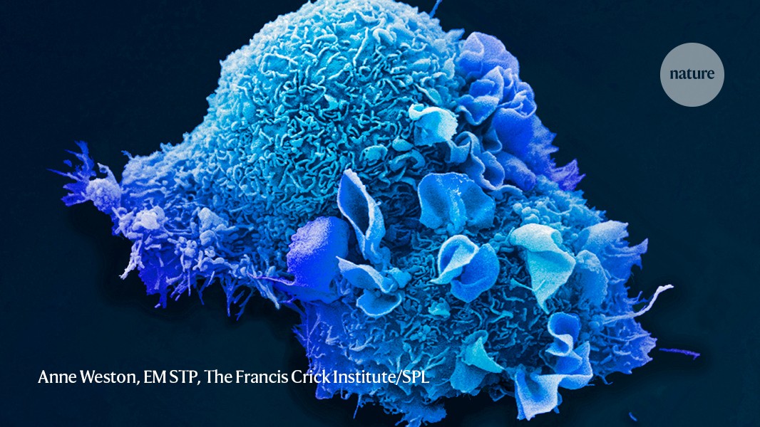 Early cancer detection is goal of transatlantic research alliance