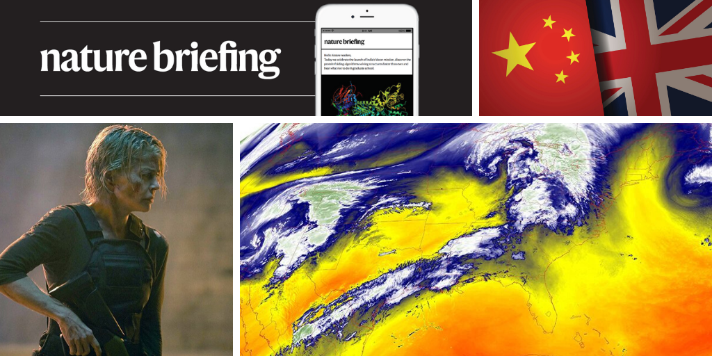 Daily briefing: A better formula for ‘dog years’