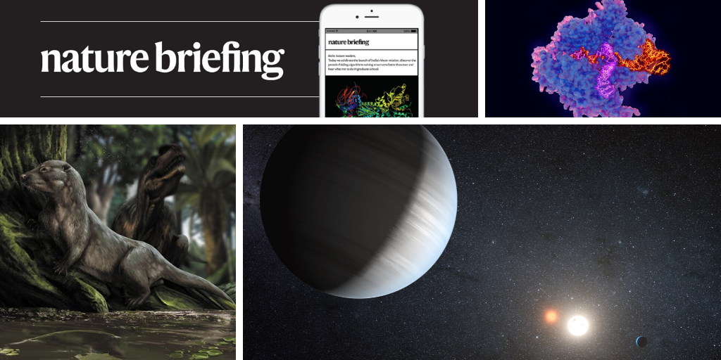 Daily briefing: The countries where scientists are most likely to work ...