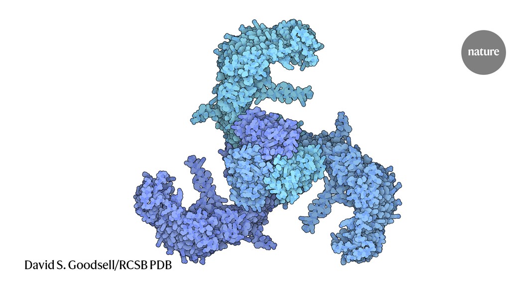 The quest to decipher how the body’s cells sense touch