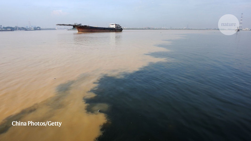 A massive clean-up starts to heal China’s polluted waters
