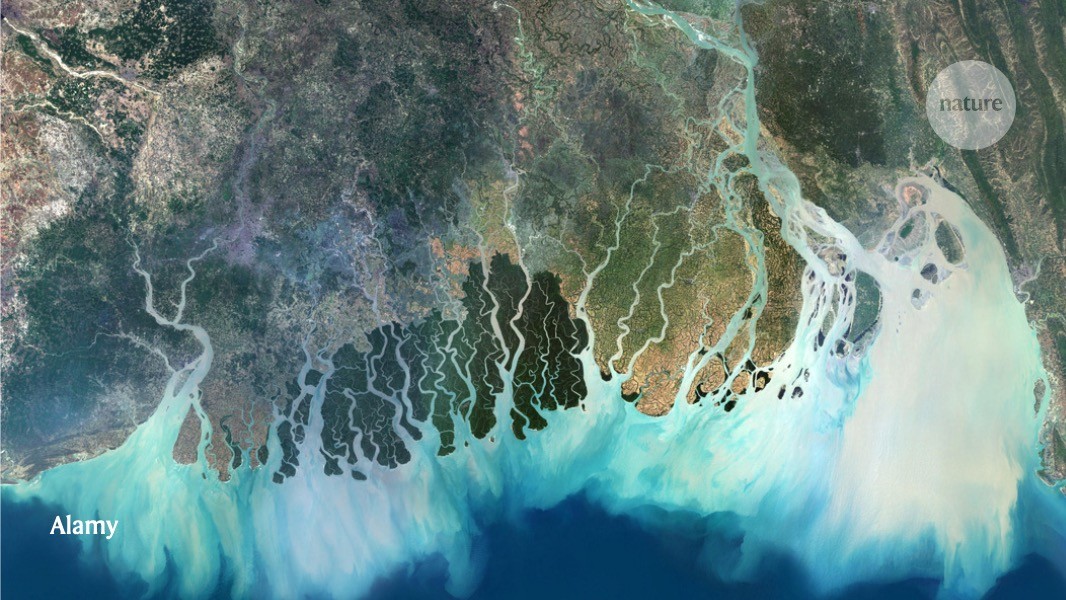 Human activities have changed the shapes of river deltas