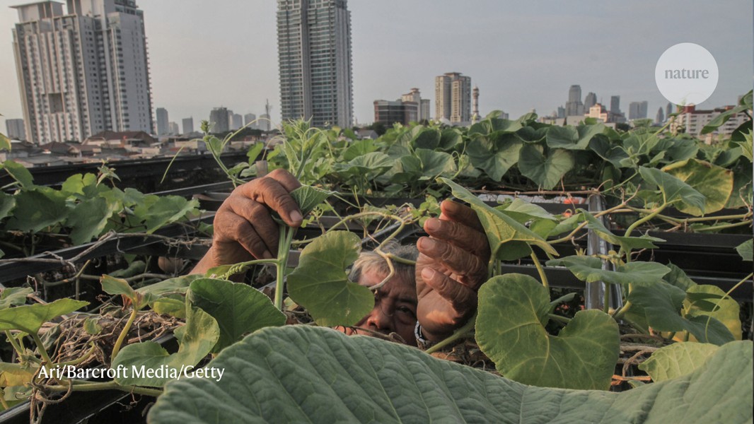 Imagine a world without hunger, then make it happen with systems thinking