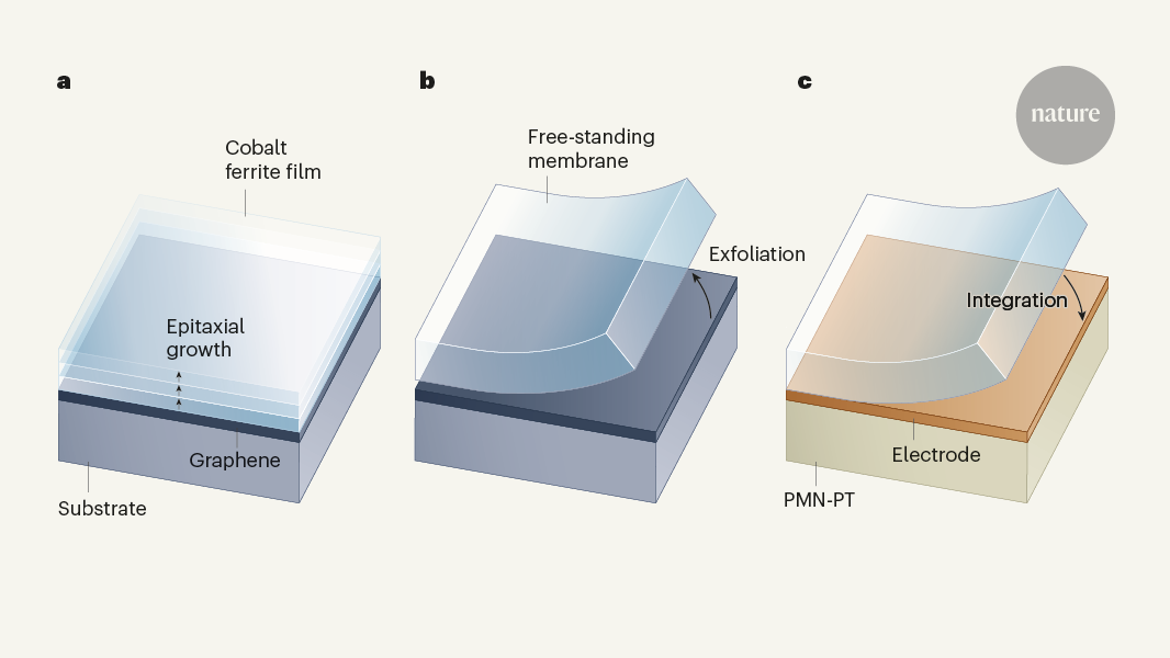 A platform for making and transferring oxide films
