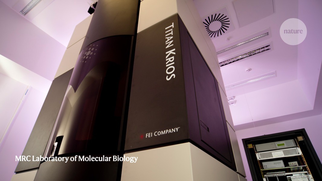 Revolutionary cryo-EM is taking over structural biology