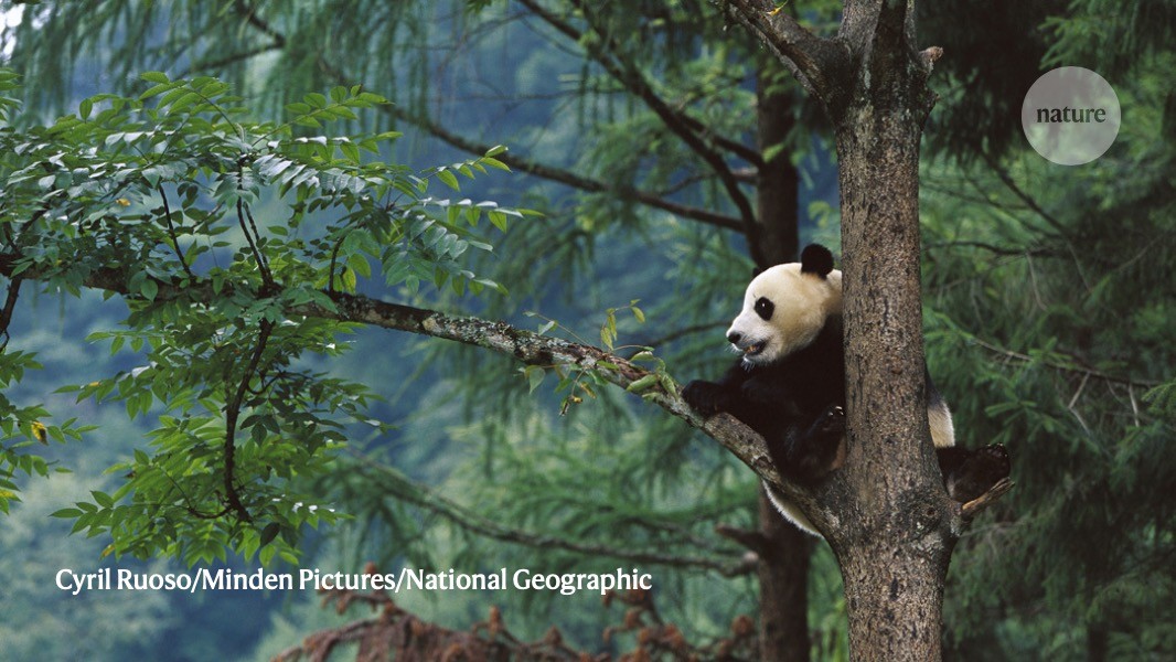 China takes centre stage in global biodiversity push