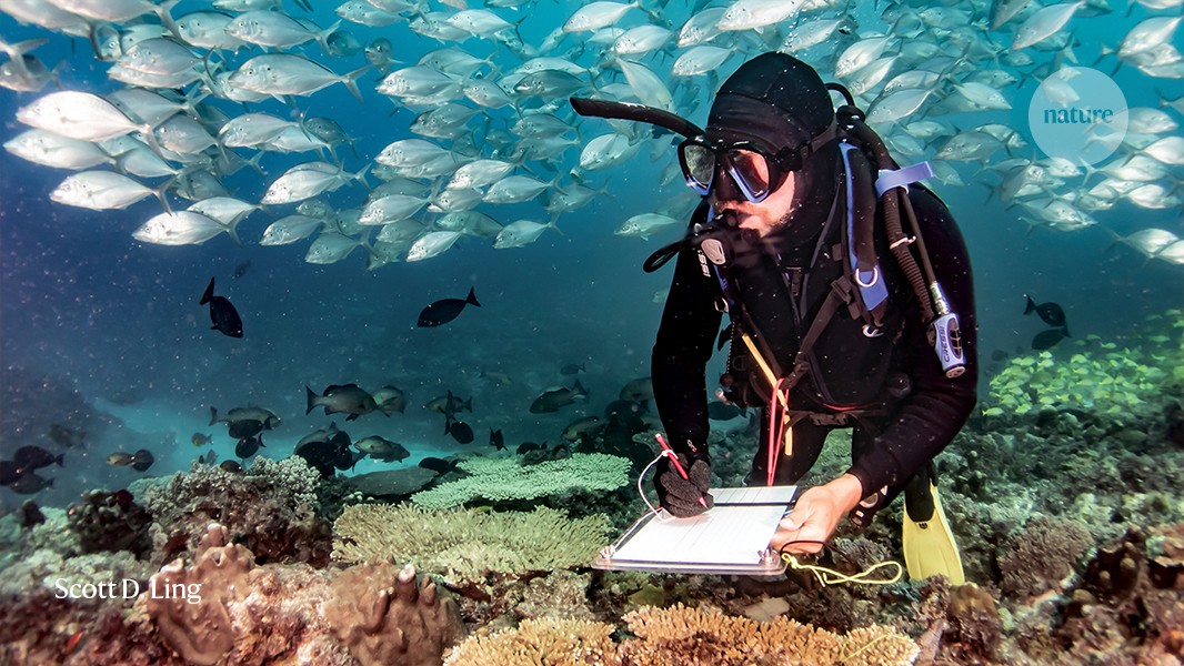 Helping to support threatened marine life