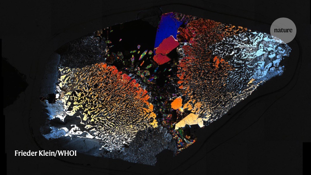 Coronavirus and children, deep-sea microbes and a bold new climate law