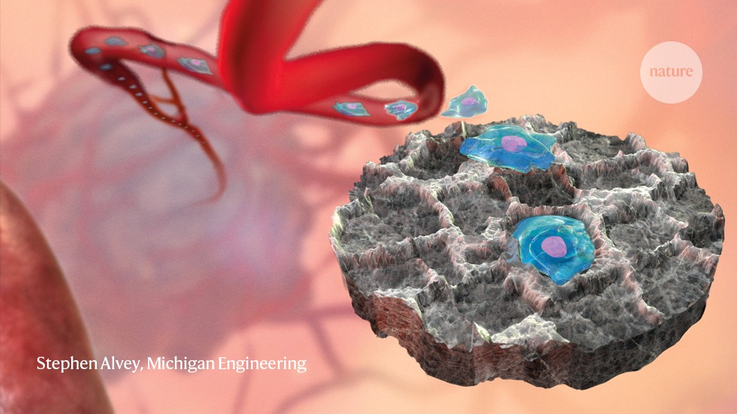 Research round-up: Cancer diagnosis