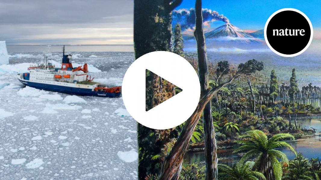 Antarctica's ice hides an ancient rainforest