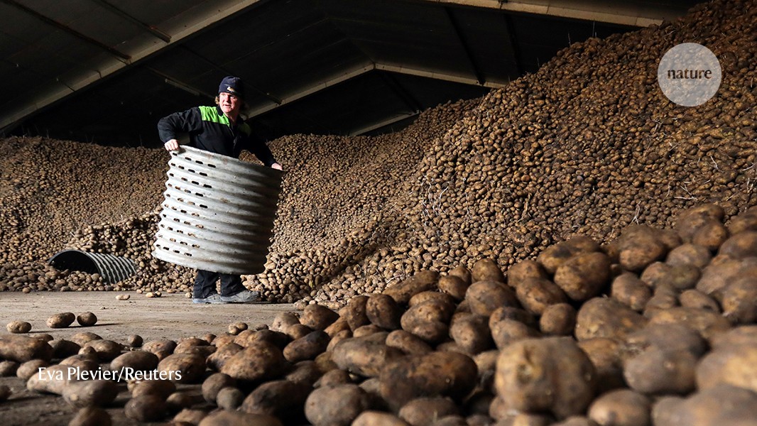 Without food, there can be no exit from the pandemic