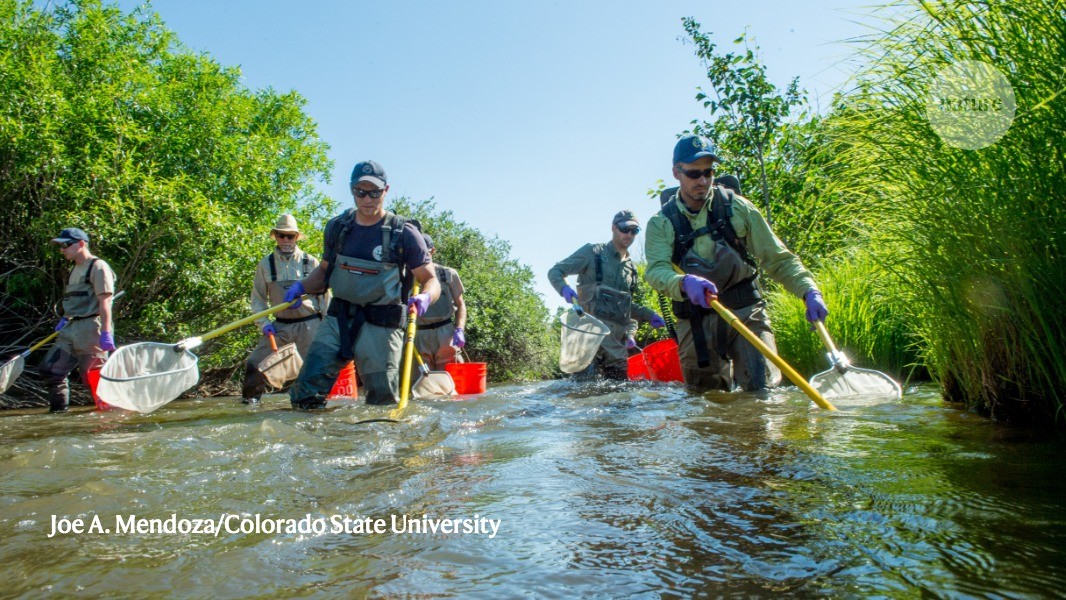Rising stars in Earth and environmental sciences 2020