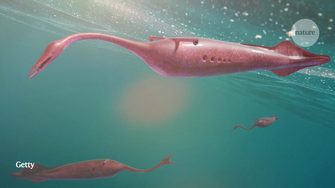 Unmasking the Tully Monster: fossils help to tackle a decades-old mystery