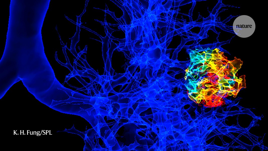 Take lessons from cancer evolution to the clinic