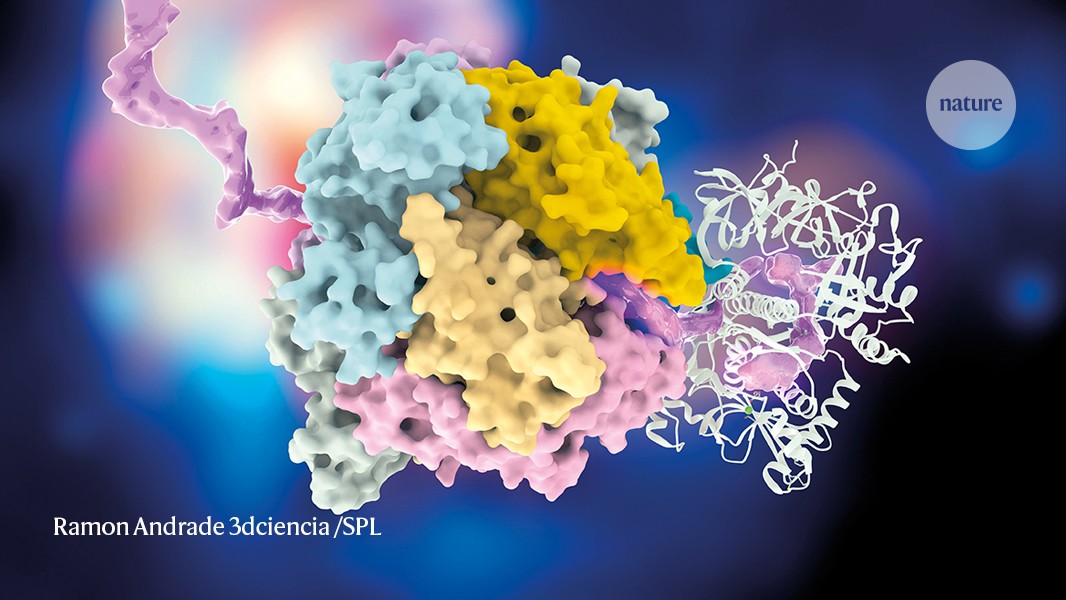 Research round-up: extracellular RNA