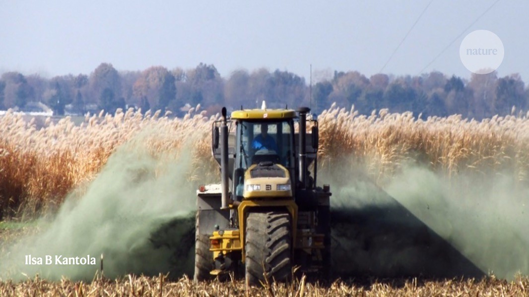 Removal of atmospheric CO2 by rock weathering holds promise for ...