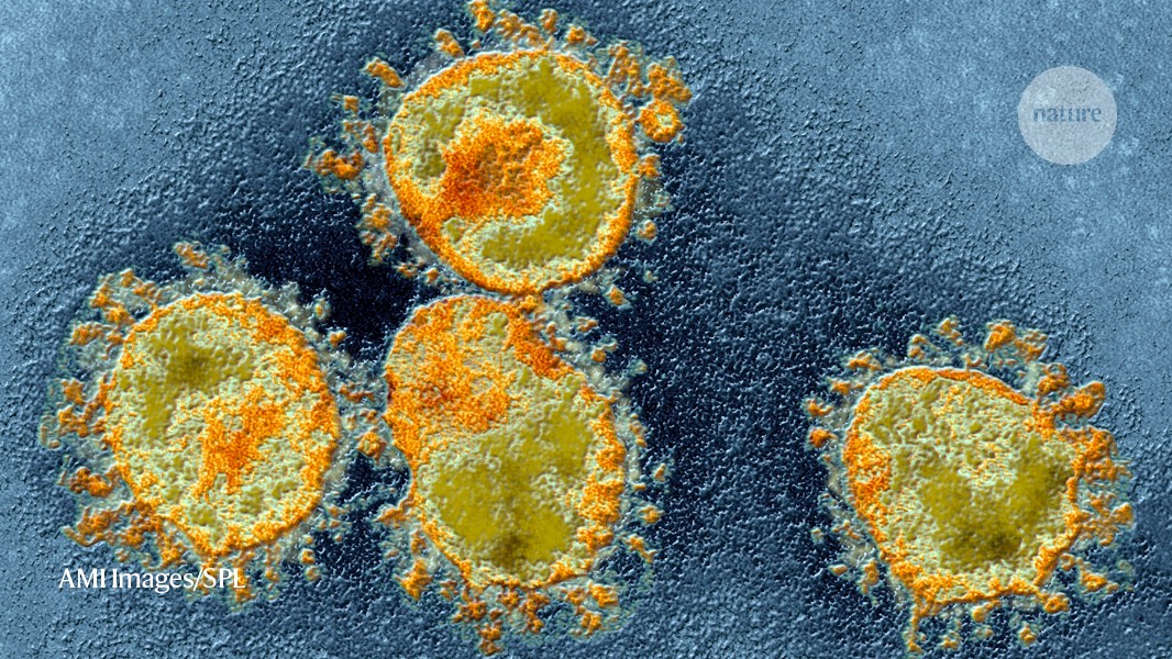 Should virus-naming rules change during a pandemic? The question ...