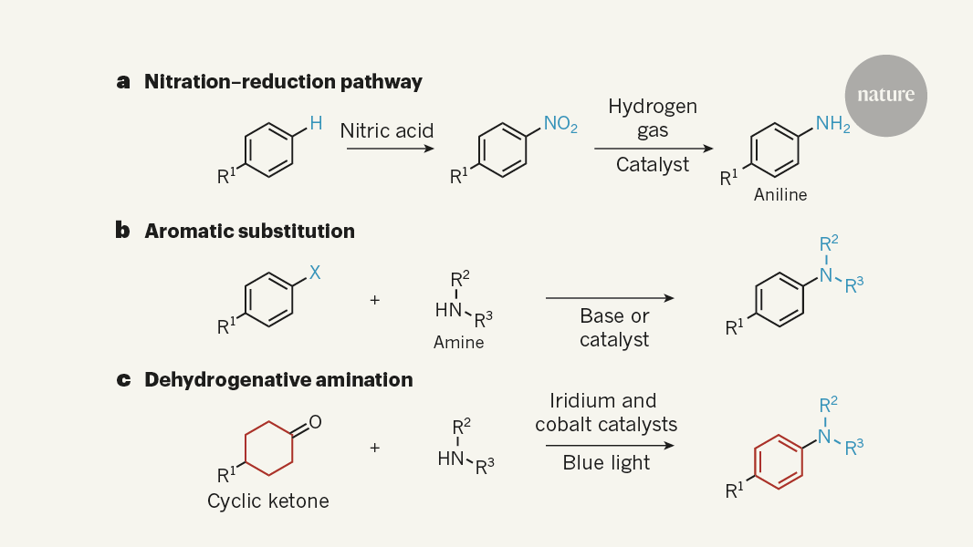Reactions for making widely used aniline compounds break norms of synthesis