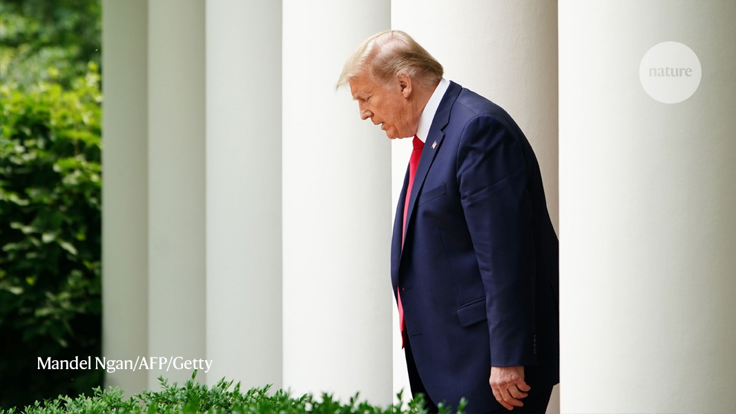 US political crackdown spurs fears of Chinese brain-drain