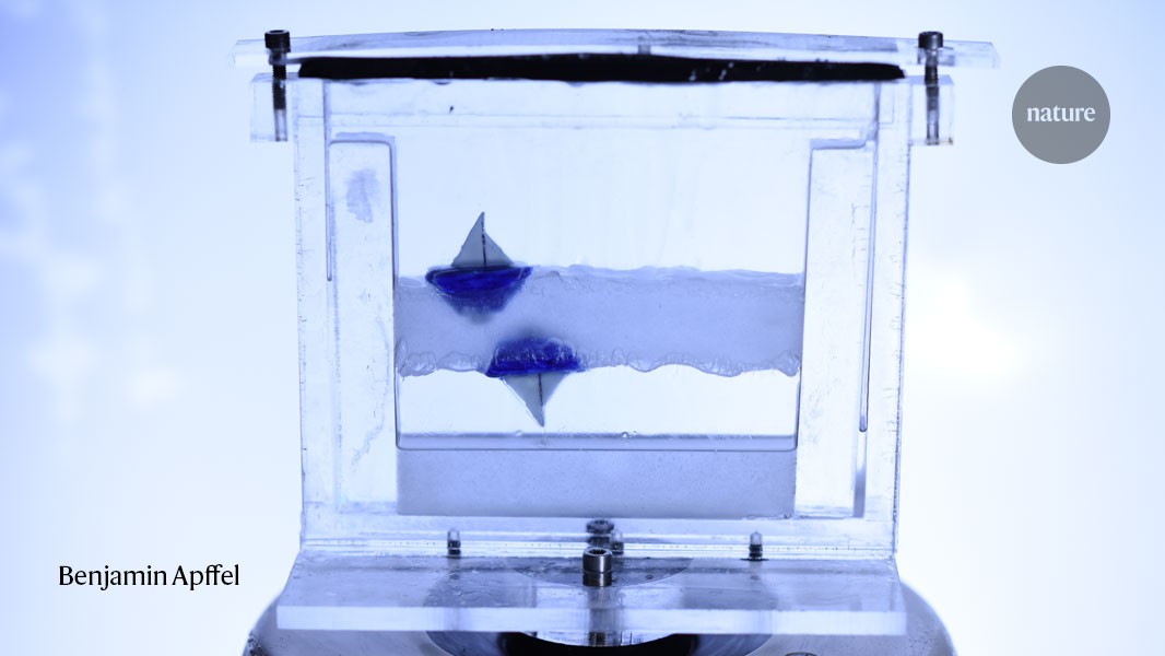 Vibration overcomes gravity on a levitating fluid
