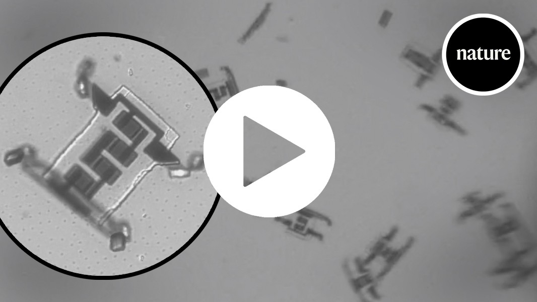 Robots smaller than the eye can see could revolutionise micro-robotics