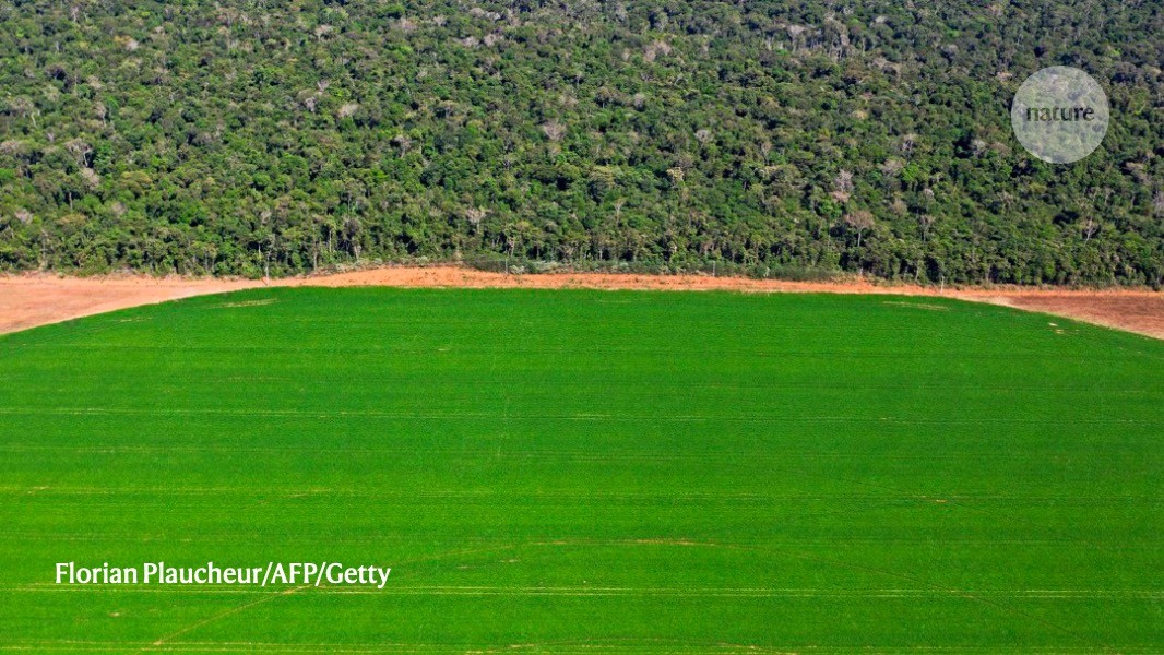 A recipe to reverse the loss of nature