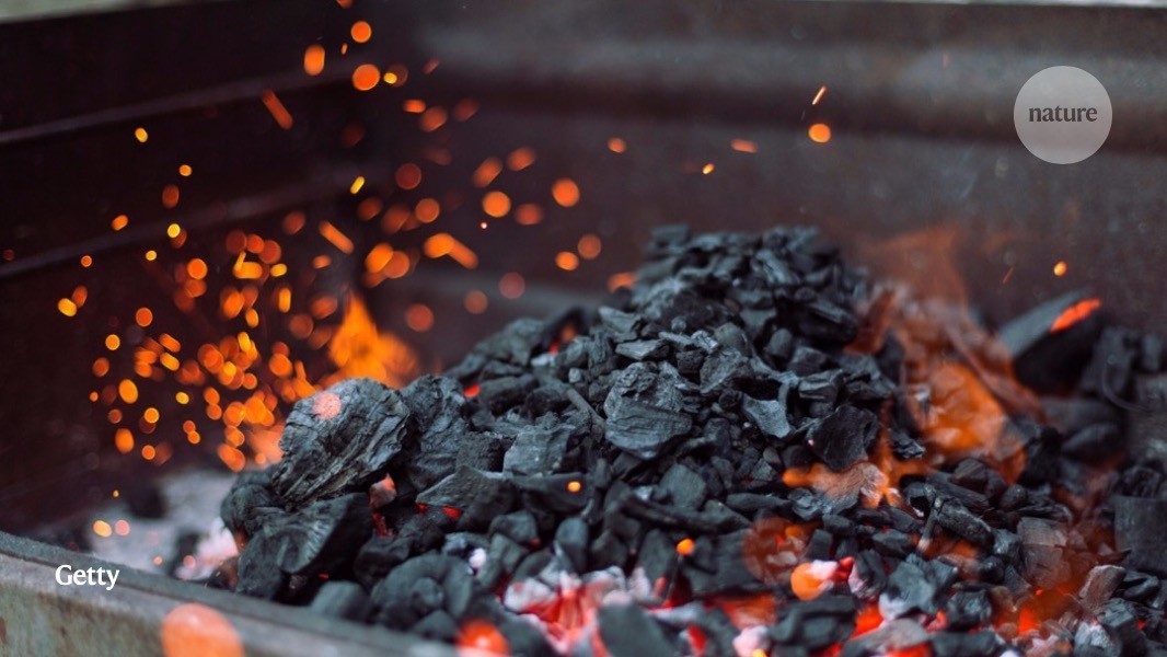 Microscopy illuminates charcoal’s sketchy origins