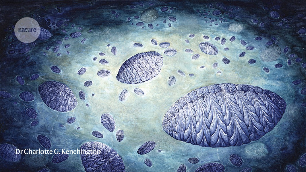 These bizarre ancient species are rewriting animal evolution