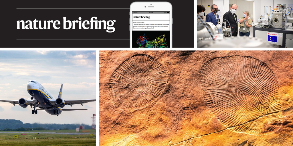 Daily briefing: Meet the enigmatic species of the Ediacaran