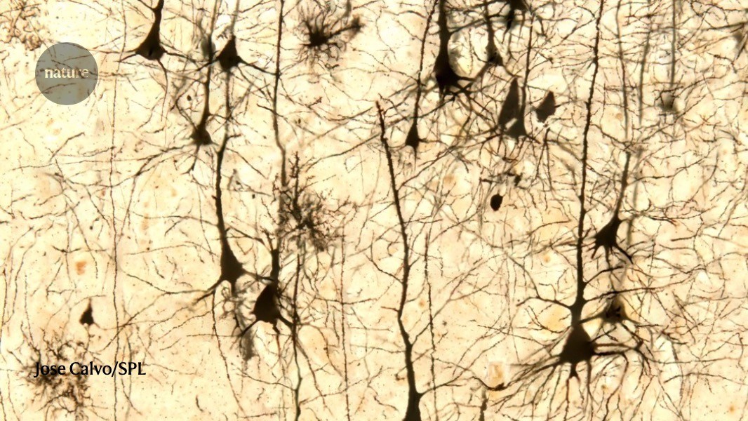 Light mentally teleports mice to another time and place