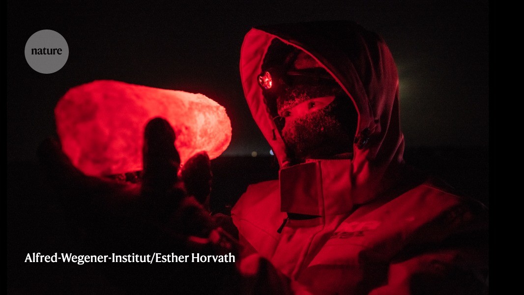 German science is thriving, but diversity remains an issue