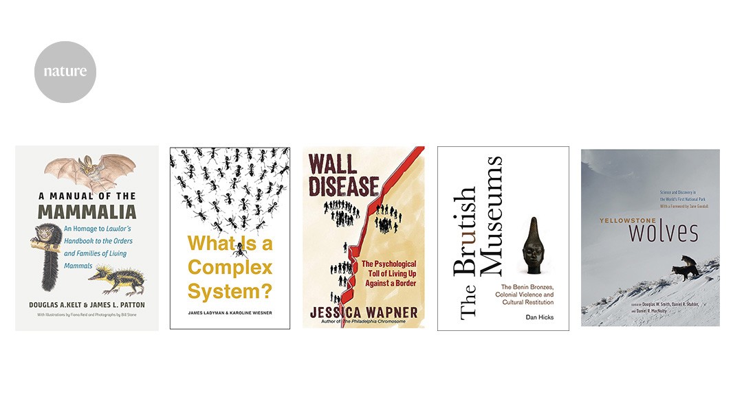 How borders make us ill, decolonizing museums, and the wolves of ...