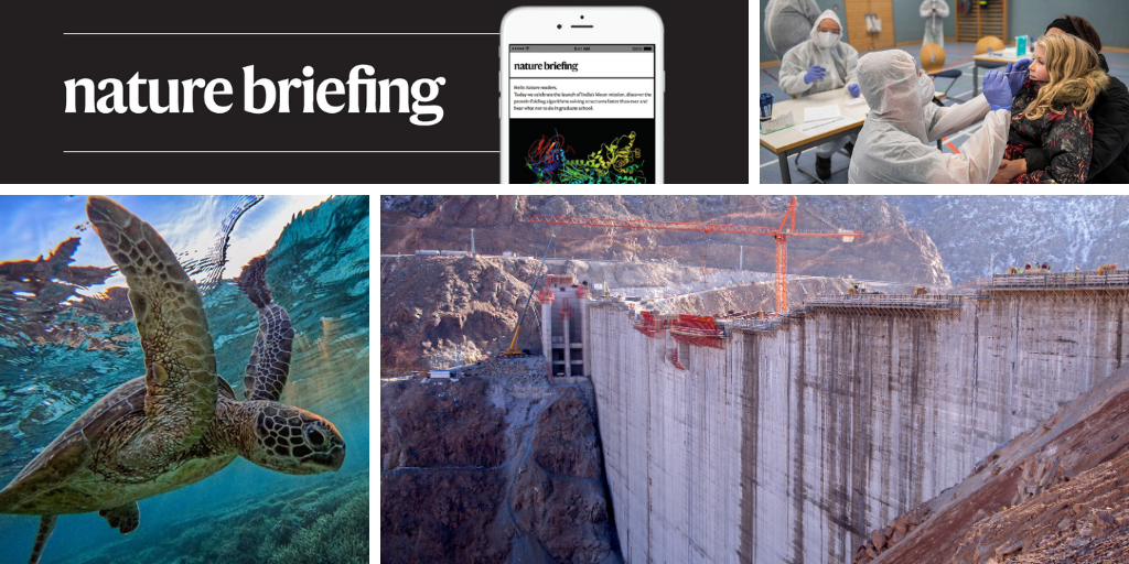 Daily briefing: Human-made stuff outweighs all life on Earth