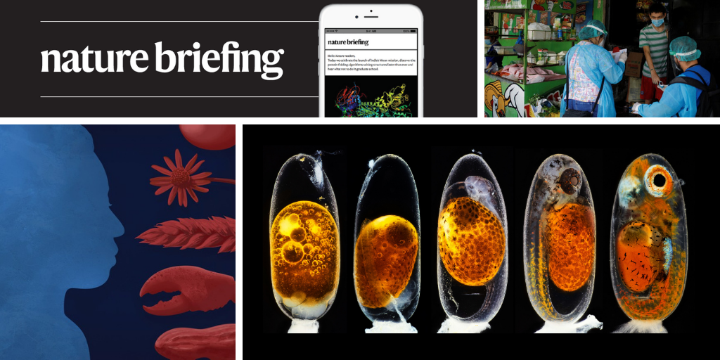Daily briefing: The most spectacular science images of the year