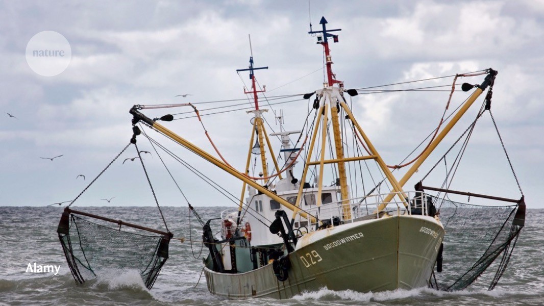 Dredging up fish dinners does lasting damage to the sea floor