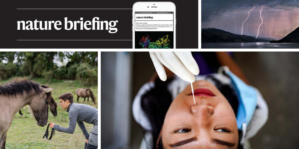 Daily briefing: 2020 — an extraordinary year for science