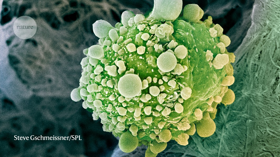 Cancer research needs a better map