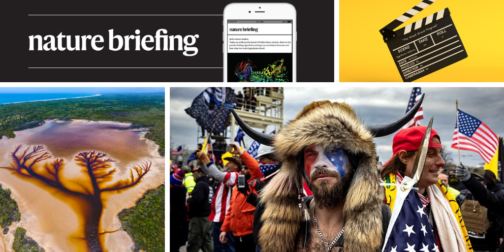 Daily briefing: The month’s best science images