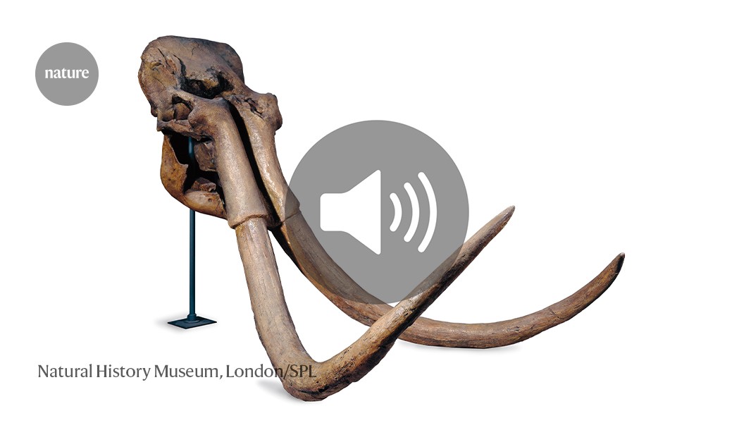 A mammoth discovery: oldest DNA on record from million-year-old teeth