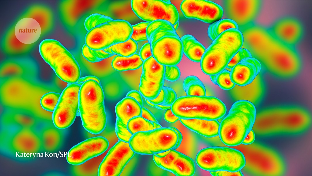 Trying a Mediterranean diet? Gut microbes might sway the outcome