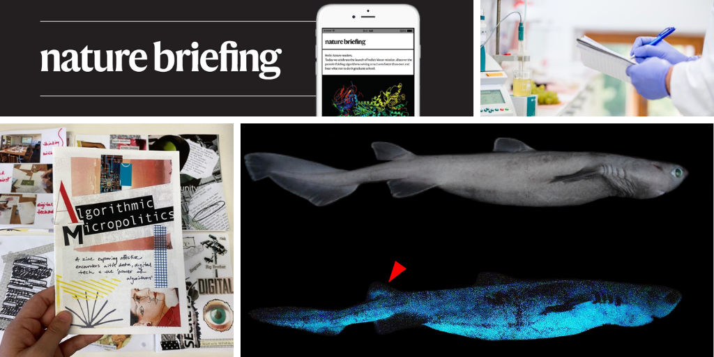 Daily briefing: Glow-in-the-dark shark is biggest bioluminescent vertebrate
