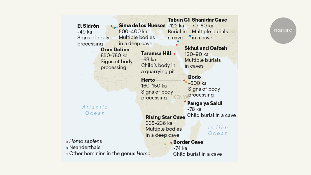 A child’s grave is the earliest known burial site in Africa
