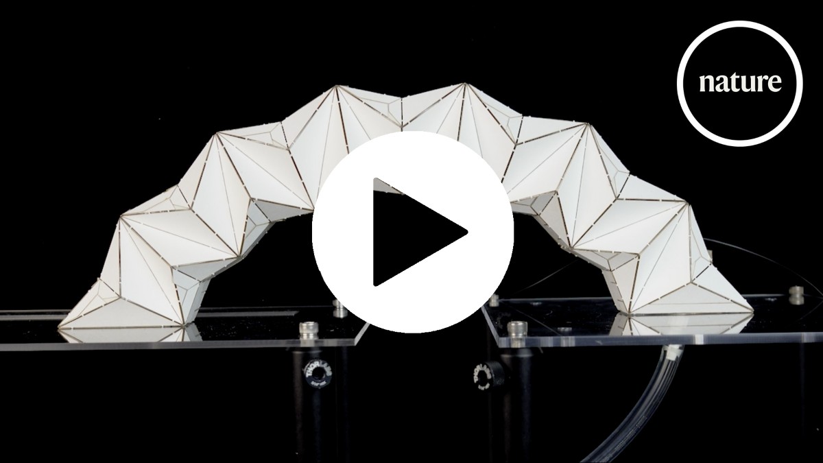 Origami-inspired structures could be deployed in disaster zones