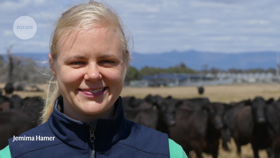 Settling in: the first four years of a lab leader