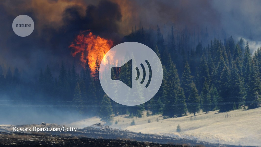 The ‘zombie’ fires that keep burning under snow-covered forests